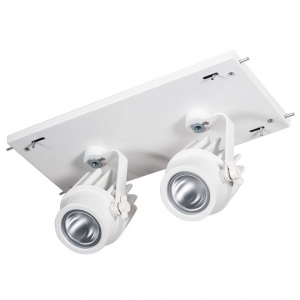 Black & White 40-Degree Double Head Recessed LED Light w/Dimmer