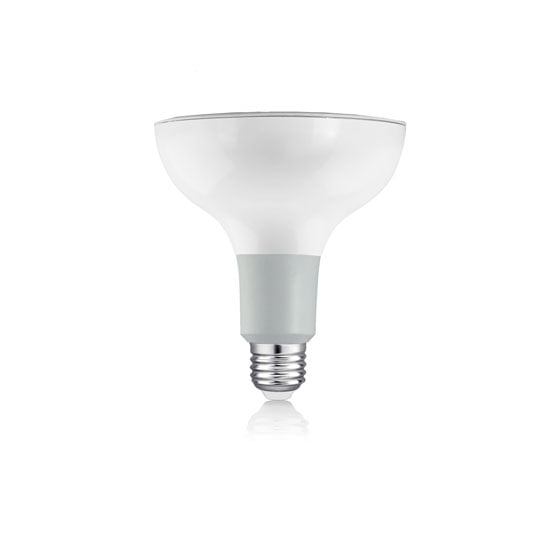 Led Replacement Bulbs In All Assortments and Colors Available Online